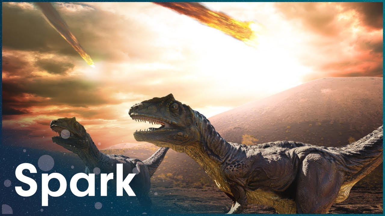 The History Of Earth's Five Mass Extinction Events - LearnThought